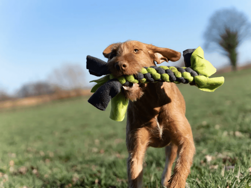 Trendpet - Bringsel Tug Toy - Natuurlijk voor de hond